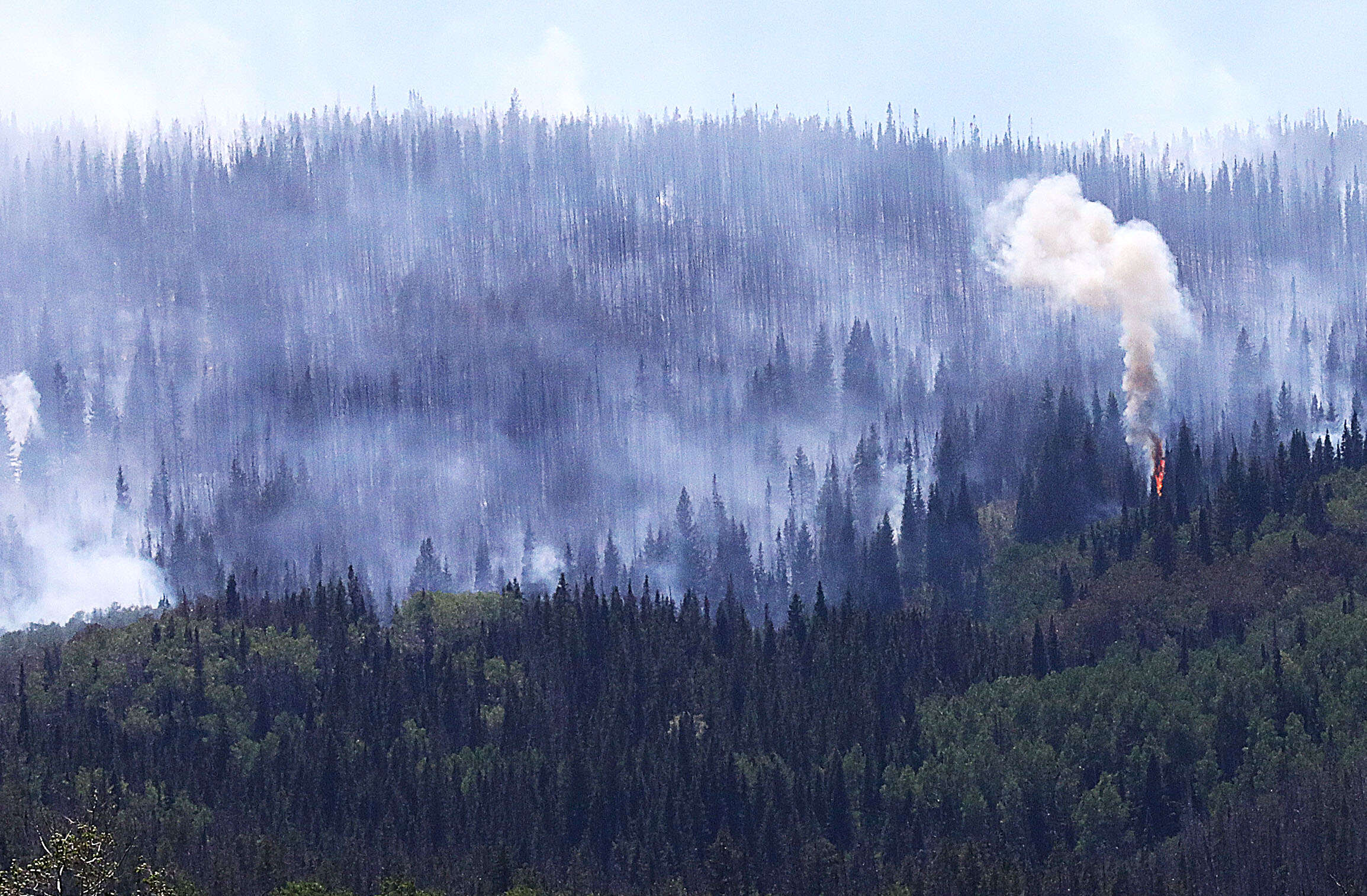 LIVE UPDATES: Muddy Slide Fire in South Routt holding at over 4K acres ...